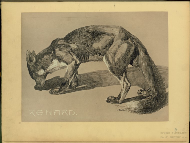 Renard. - NYPL Digital Collections