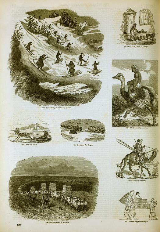 Transportation and vehicles: skiing, dog and wagon, reindeer and sled ...