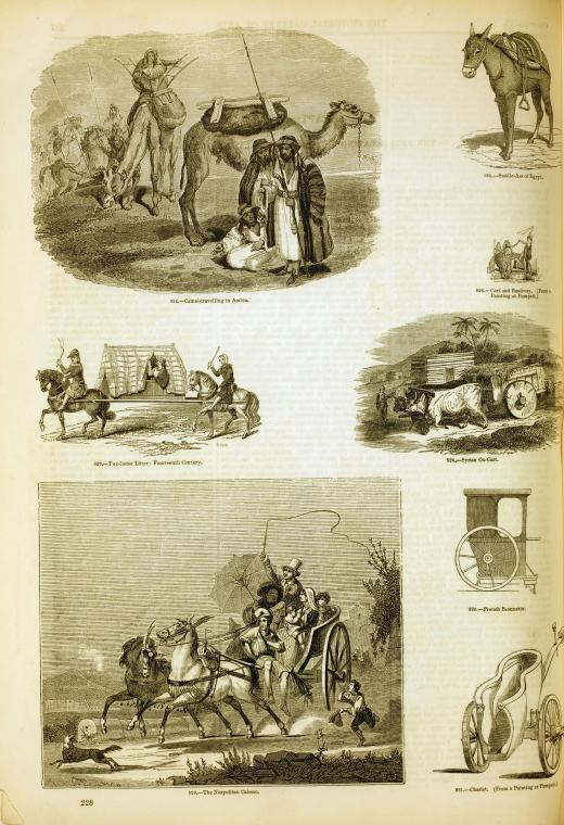 Transportation and vehicles: camels, donkey and oxen of the Middle East ...