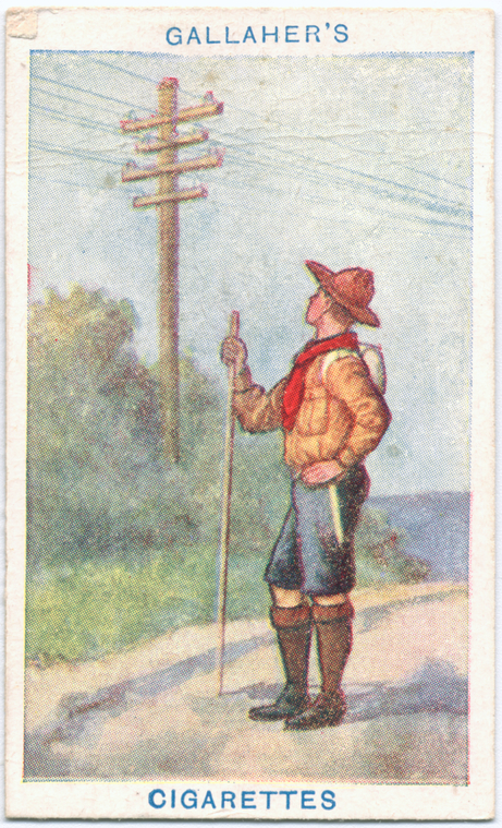 Digital Collections - Telegraph Pole Signs.