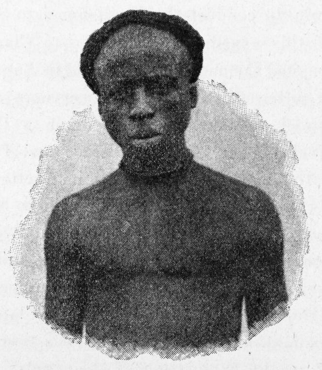 Native of the Niger Delta. - NYPL Digital Collections