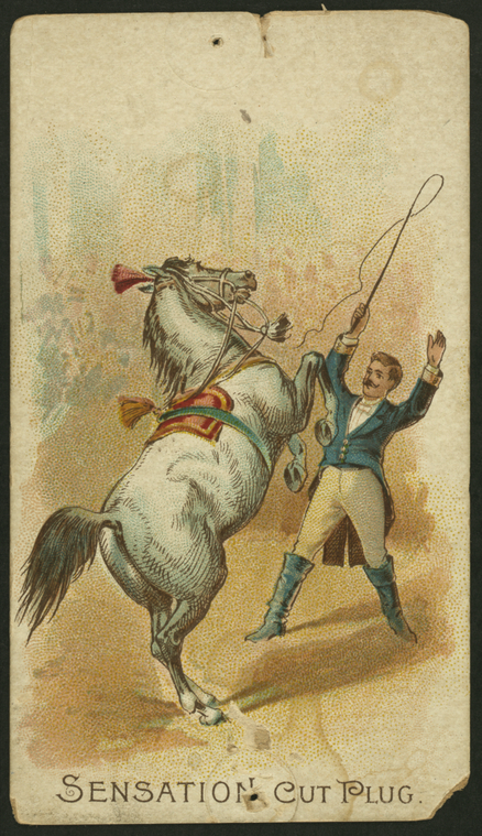 Circus scenes. - NYPL Digital Collections