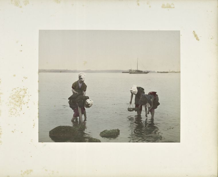 Women Gathering Shellfish - NYPL Digital Collections