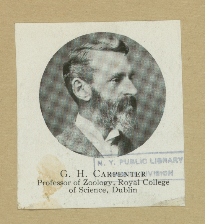 G.H. Carpenter - NYPL Digital Collections