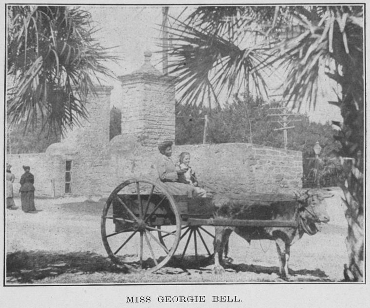 Miss Georgie Bell; The team she rode in while in St. Augustine, Fla ...