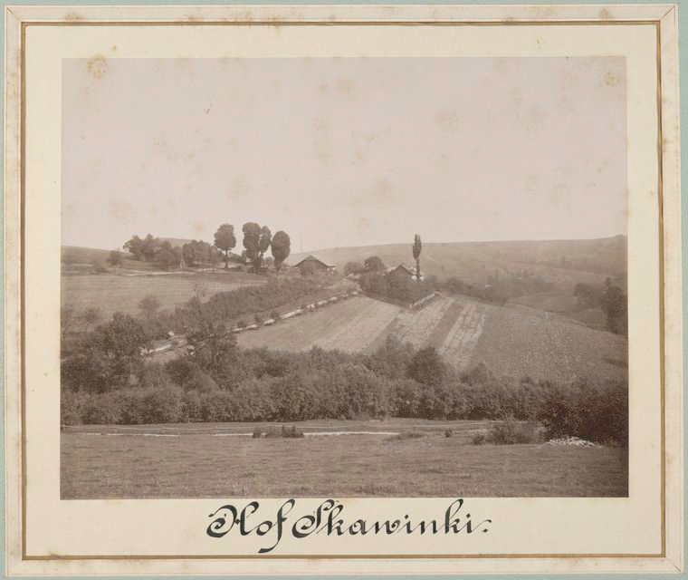 Hof Skawinki. - NYPL Digital Collections