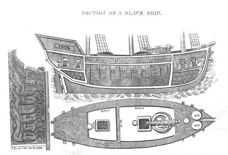 Section of a Slave Ship. From Walsh's Notes of Brazil - NYPL Digital ...