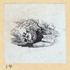 Scrap Book, Volume 8, p.42 - NYPL Digital Collections