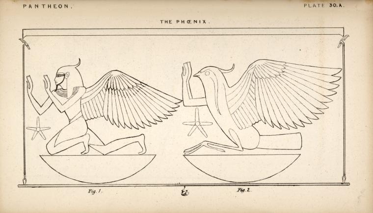 Pantheon. The Phoenix. - NYPL Digital Collections