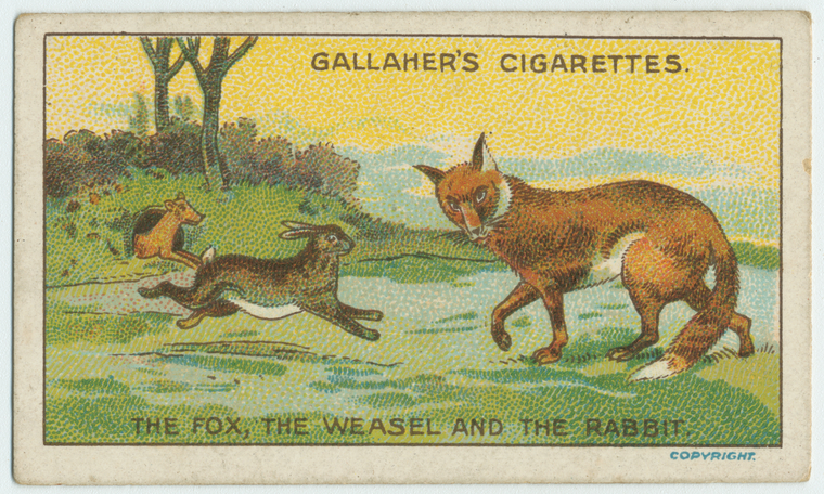 The fox, the weasel and the rabbit. - NYPL Digital Collections