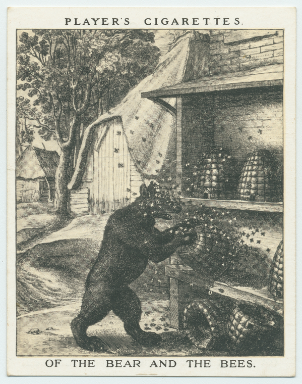 Fable of the bear and the bees. - NYPL Digital Collections
