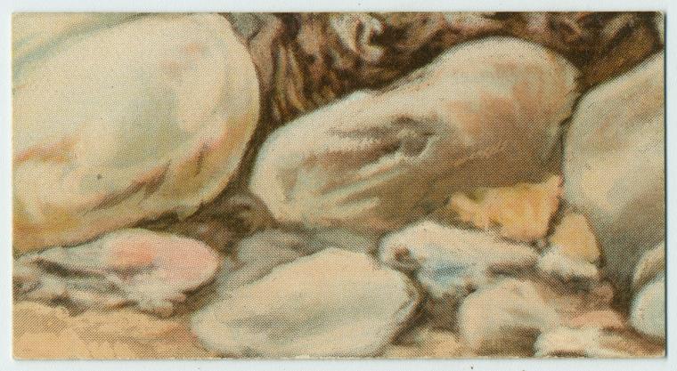 A famous picture in 48 sections - NYPL Digital Collections
