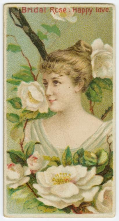 Bridal rose, happy love. - NYPL Digital Collections