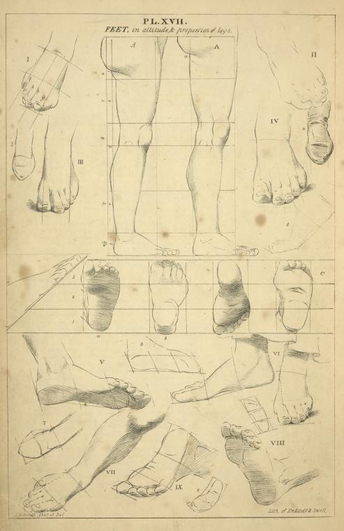 Feet - in attitude and proportions of legs. - NYPL Digital Collections