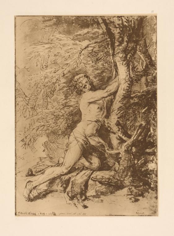 Drawing of Milo of Croton - NYPL Digital Collections