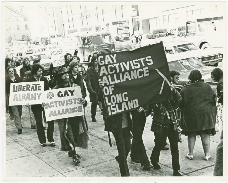 March on Albany - NYPL Digital Collections