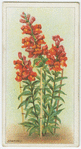 Staking. - NYPL Digital Collections