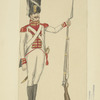 Netherlands, 1808 [part 4] - NYPL Digital Collections