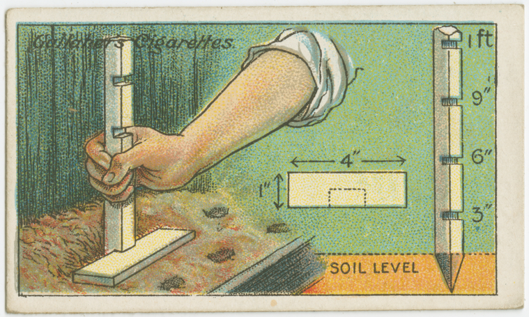 How to make a useful dibber. - NYPL Digital Collections