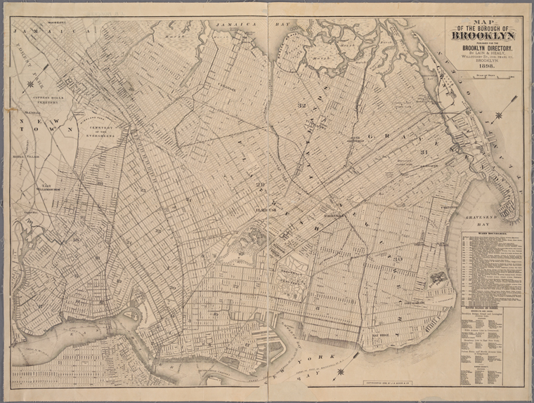 Map of the borough of Brooklyn published for the Brooklyn Directory ...