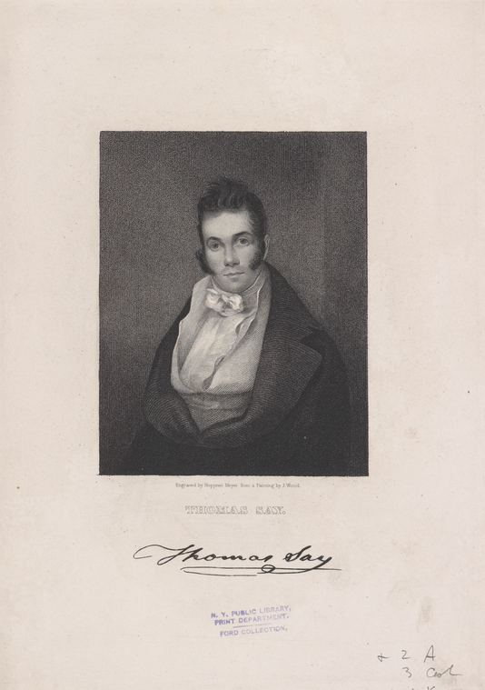 Thomas Say - NYPL Digital Collections