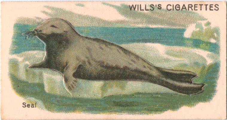 Seal. - NYPL Digital Collections