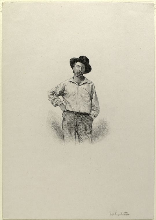 Portrait of Walt Whitman, July 1854 - NYPL Digital Collections