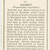 Rabbit. - NYPL Digital Collections