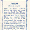 Jackal. - NYPL Digital Collections