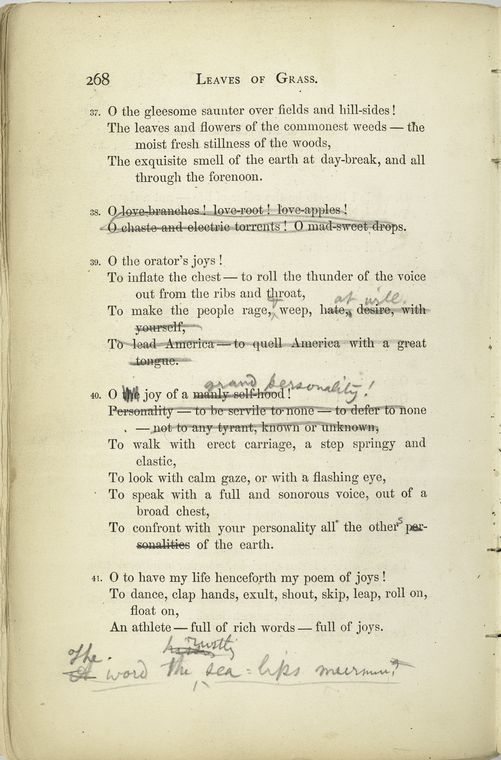 O the gleesome saunter over fields and hill-sides! ... - NYPL Digital ...