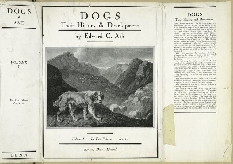 Dogs: their history and development. - NYPL Digital Collections