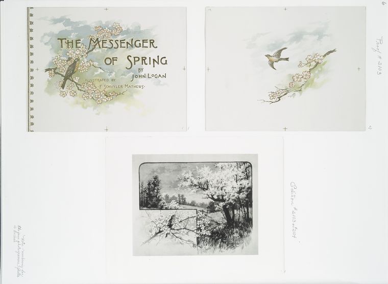 [The messenger of spring: cards depicting pastures, sky, dogwoods and ...