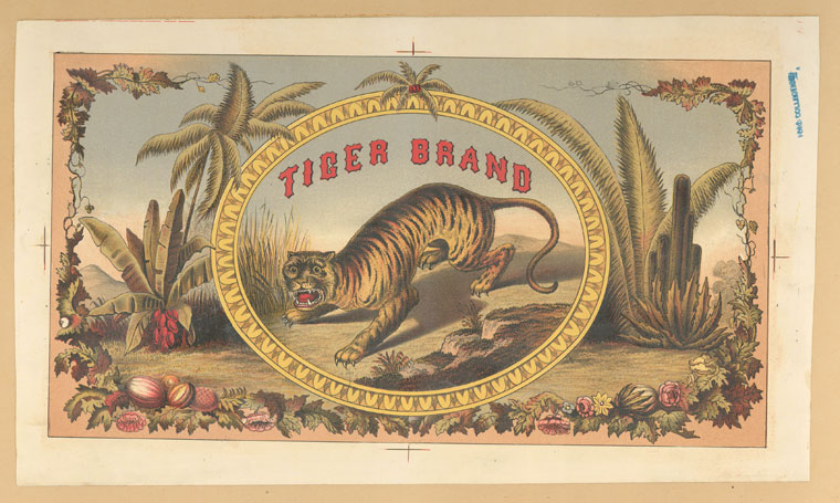 [An advertisement for Tiger Brand depicting a tiger in a tropic ...