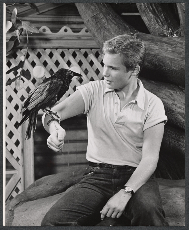 Brandon De Wilde