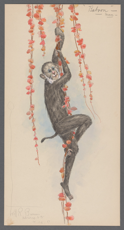 Baboon-Man - NYPL Digital Collections