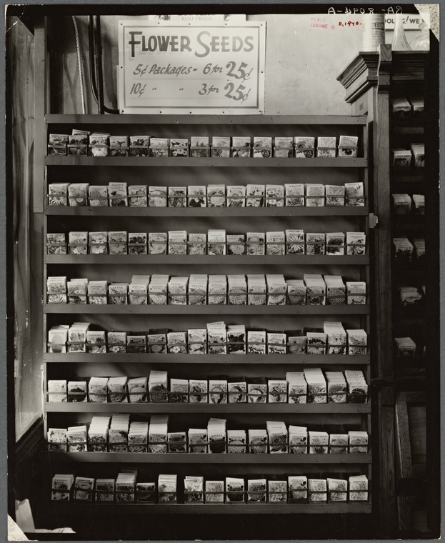 Vicksburg, Mississippi. Seed store interior - NYPL Digital Collections