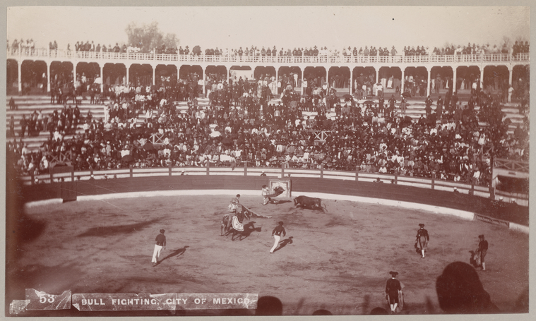 Bull fighting, City of Mexico - NYPL Digital Collections