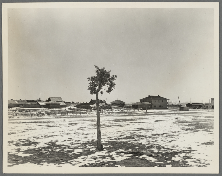 The town of Widtsoe, Utah - NYPL Digital Collections