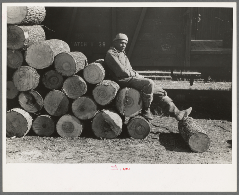 Negro resting on pile of logs to be loaded into box car, Eudora ...