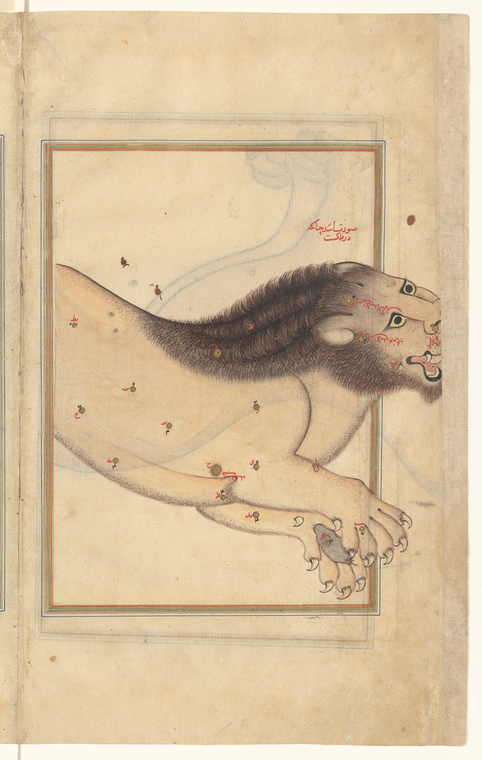 Leo [Asad], as seen in the heavens. The mirror image of f. 98v-99r ...