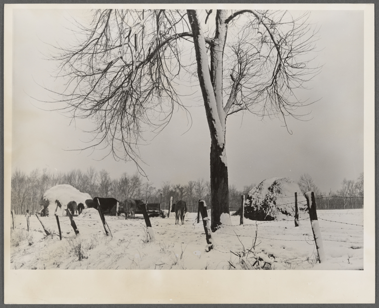Winter farm scene. Williamson County, Illinois - NYPL Digital Collections