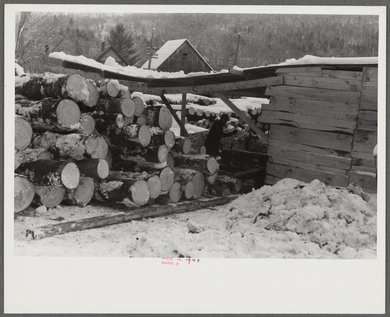 Timber levelled by 1938 hurricane at sawmill near Warren, New Hampshire ...