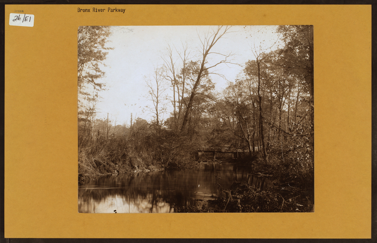 Bronx: Bronx River Parkway - 174th Street (East) - NYPL Digital Collections