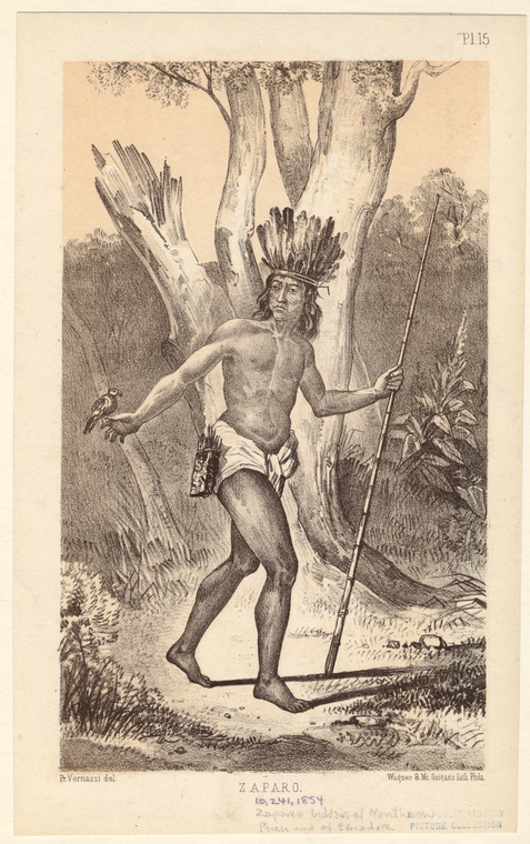 Zaparo - NYPL Digital Collections
