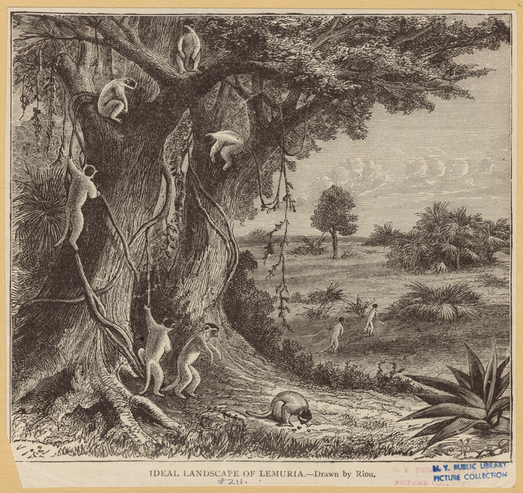Ideal landscape of Lemuria - NYPL Digital Collections