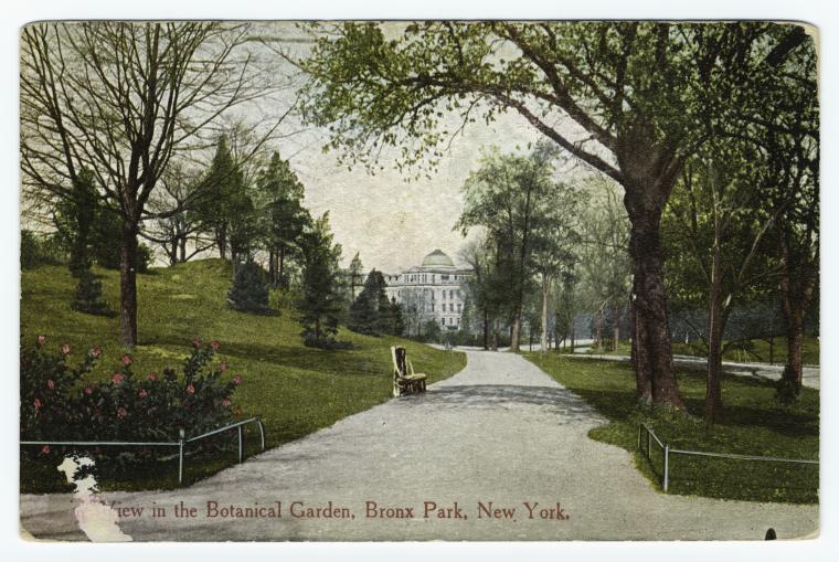 View in the Botanical Garden, Bronx Park, New York - NYPL Digital ...