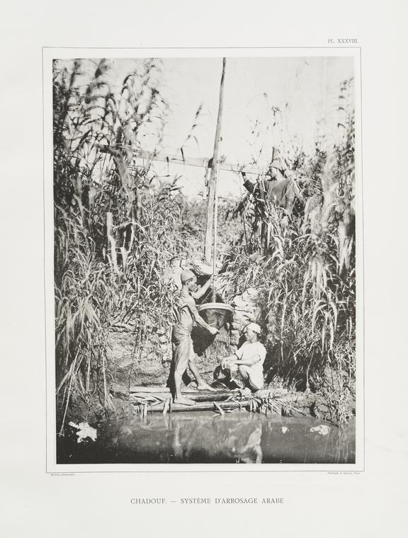Chadouf (système d'arrosage arabe). - NYPL Digital Collections