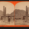 Inclines to the copper mines, Metcalf, Arizona - NYPL Digital Collections