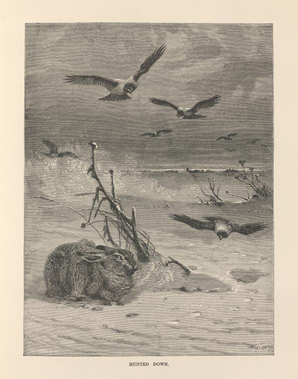 Hunted down. - NYPL Digital Collections