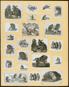 The Miriam and Ira D. Wallach Division of Art, Prints and Photographs ...